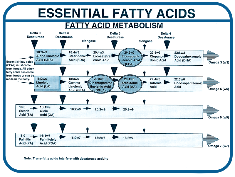 Many EFA supplements contain only omega-3s, but for optimal function ...
